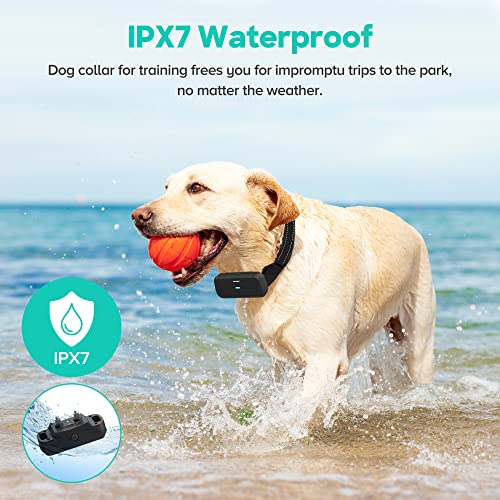 Dog Training Collar with Remote, Shock Collar for Dogs with Vibration and Beep Modes, Rechargeable Transmitter with Security Lock, Waterproof Collar, 99 Adjustable Levels β All Breeds, Sizes