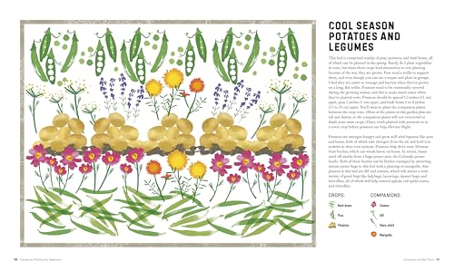 Companion Planting for Beginners: Pair Your Plants for a Bountiful, Chemical-Free Vegetable Garden