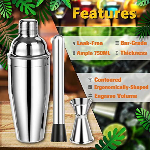 BestGK Bartender Kit Cocktail Shaker Set, Perfect Home Bartending Kit with Stylish Stand, 25oz Stainless Steel Martini Shaker with Cocktail Recipes Booklet