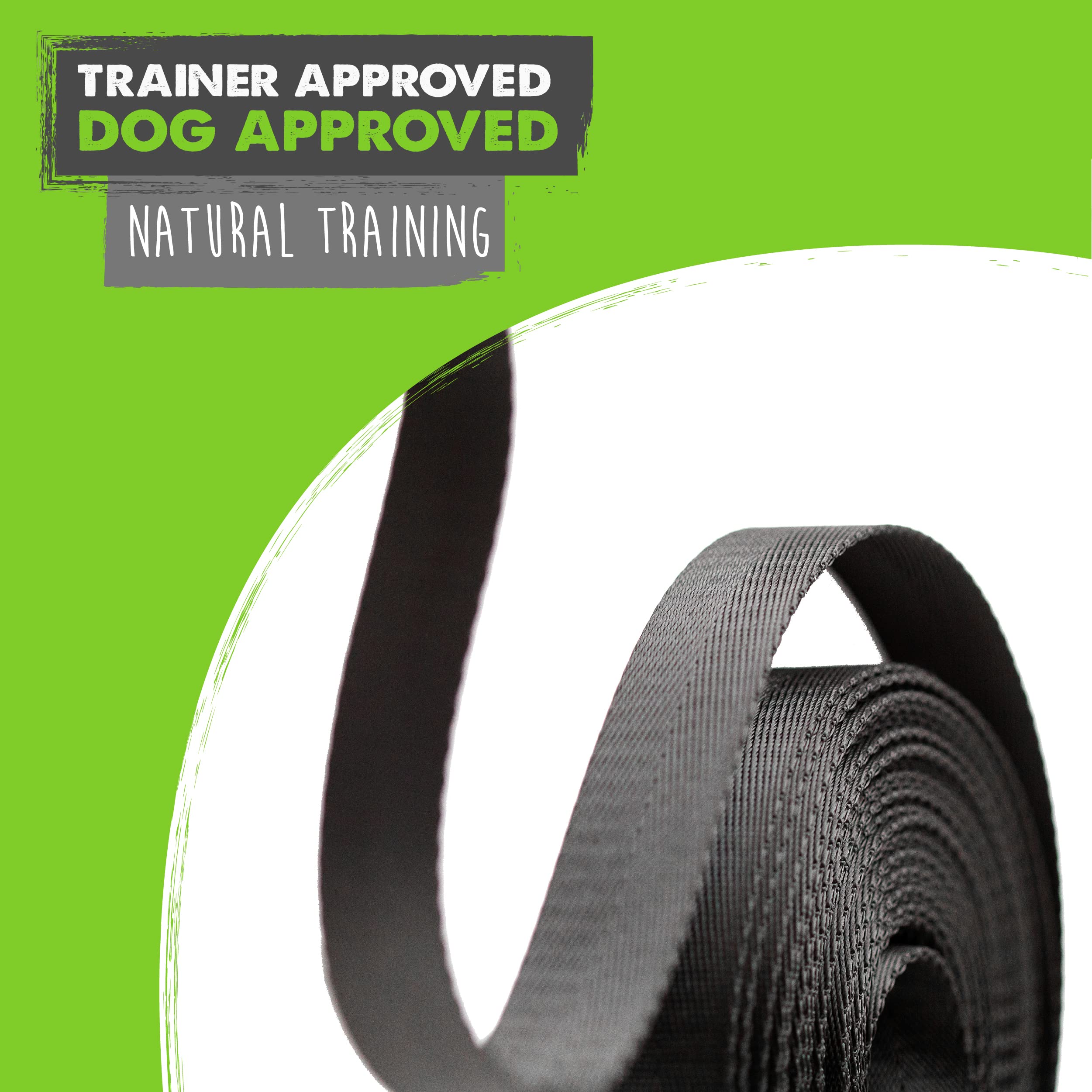 Mighty Paw Long Dog Leash | Pet Lead for Off-Leash Recall Training. Premium Quality Nylon Tie Out , Includes a Buckled Padded Handle. Great for Yard, Camping and Training. (15 Feet, Black)