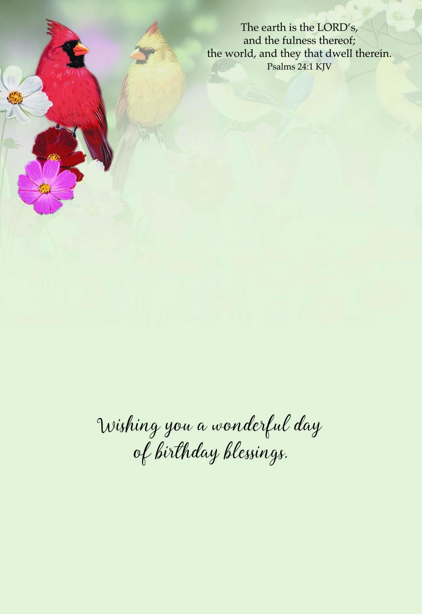 Crown Point Graphics Shared Blessings Birthday Birds 12 Boxed Birthday Cards, Beautiful Birds with KJV Scripture, Art by William Vanderdasson