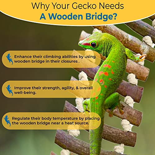 SunGrow Gecko Wooden Ladder Bridge, 14β Customizable, Versatile Enrichment Exercise Gym, Increase Living Vertical Space for Geckos, Hermit Crabs, and Pocket Pets