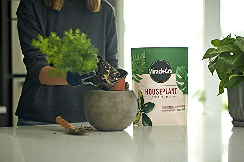 Miracle-Gro Houseplant Potting Mix: Fertilized, Perlite Soil for Indoor Gardening, Designed to Be Less Prone to Gnats, 4 qt.