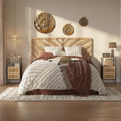 DOVAMY Rattan Nightstand with 2 Drawers, End Table for Small Spaces, Side Table with Storage for Bedroom, Living Room, Dorm, 27.5'' Bed Stand with Open Shelf, Beige BN03B