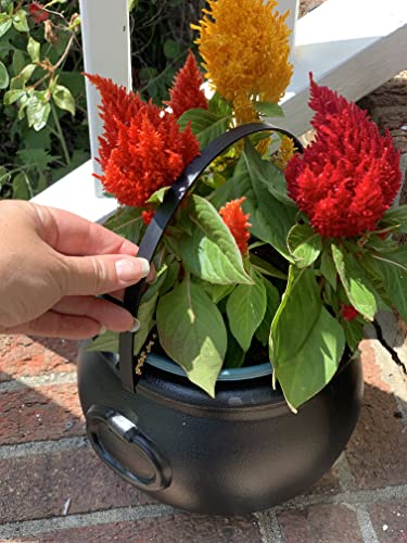 Black Plastic Planter, Antique, Cast Iron Looking Cauldron Kettle Flower Pot 8" with Handle, Early American Style