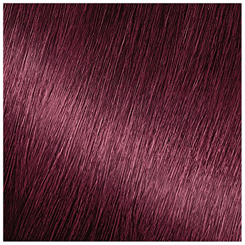 Garnier Hair Color Nutrisse Nourishing Creme, 462 Dark Berry Burgundy (Sugar Beet) Red Permanent Hair Dye, 1 Count (Packaging May Vary)
