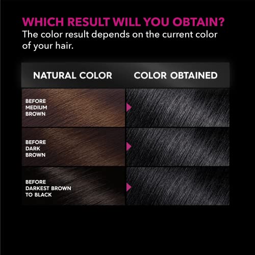 Garnier Hair Color Olia Ammonia-Free Brilliant Color Oil-Rich Permanent Hair Dye, 2.11 Platinum Black, 1 Count (Packaging May Vary)