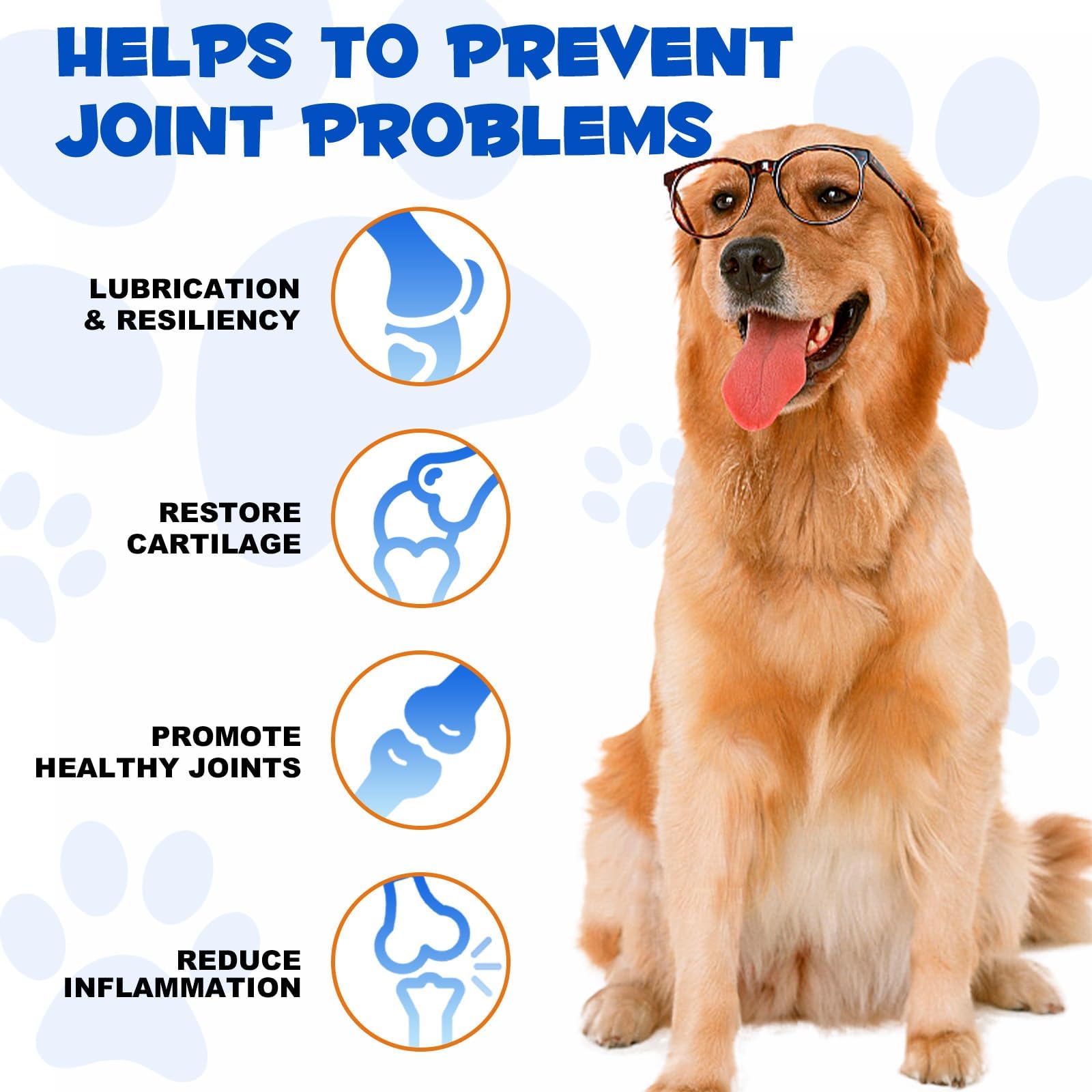 Dog Joint Aid & Relief Supplement with Chondroitin & Glucosamine HCl β Relieves Joint Pain & Reduces Inflammation for Senior Dogs, Active Adults & Puppies