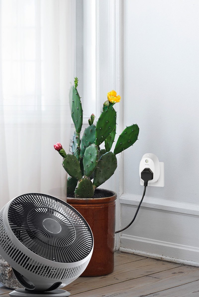 TP-LINK HS100 - Smart plug - wireless - 802.11b/g/n - 2.4 Ghz
