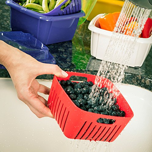 Hutzler Berry Keeper Box, 1 Quart, Red