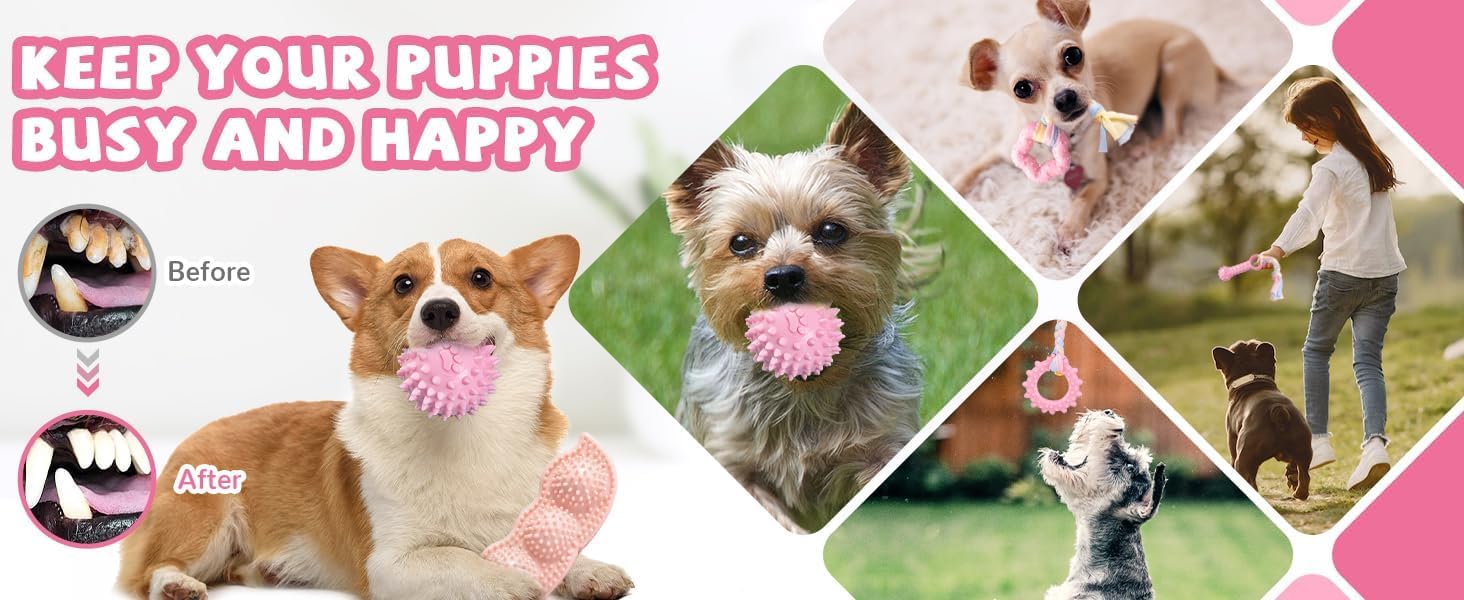 Bambinom Puppy Chew Toys, 6 Pack Puppy Teething Toys for Small Breed, Soft Rubber Cute Pink Dog Toys, Eco-Friendly, Teeth Cleaning Interactive for Small Dogs