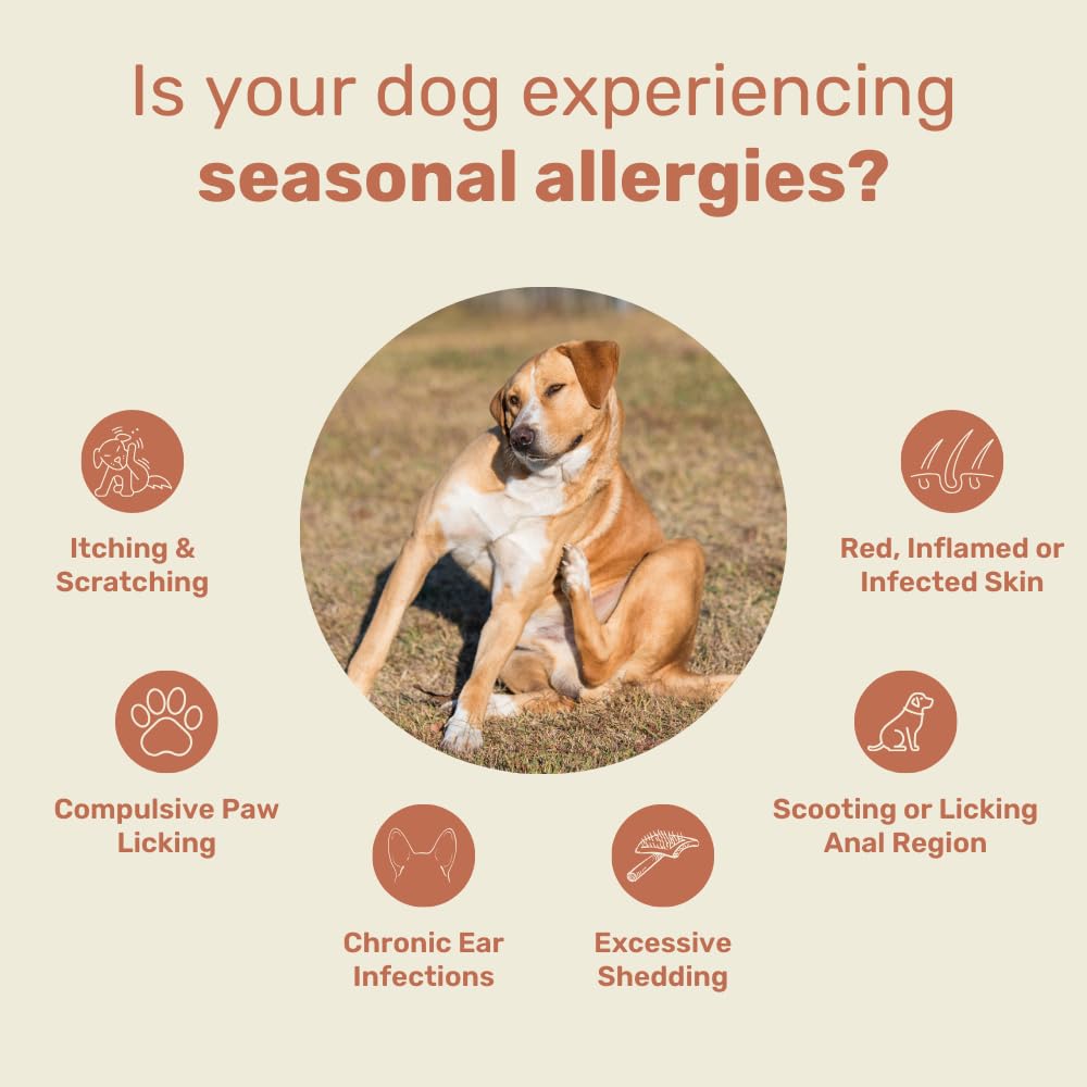 Canine Keeps Dog Allergy Chews - Itch Relief for Dogs β Omega 3 Salmon Fish Oil, Probiotics & Quercetin - Immune Support & Dog Allergy Relief Chews β Digestion + Skin & Coat Health - 90 Ct.