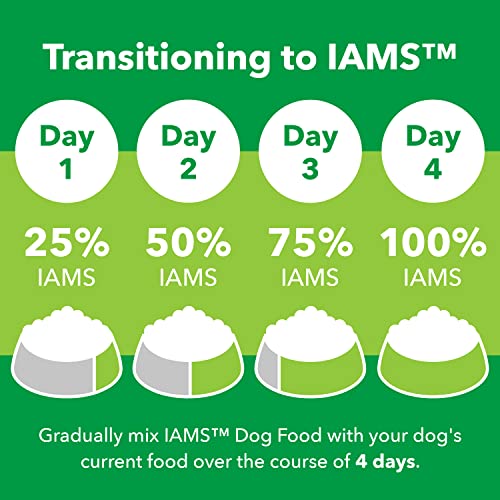 IAMS Adult Minichunks Small Kibble High Protein Dry Dog Food with Real Chicken, 30 lb. Bag