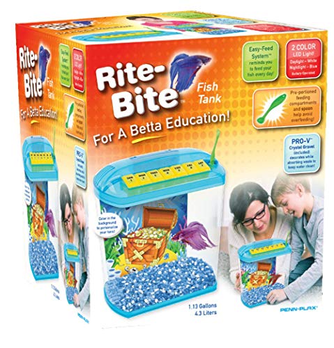 PENN-PLAX Rite-Bite Educational Betta Tank – A Perfect First Aquarium for Children with Adult Supervision – 1.13 Gallon