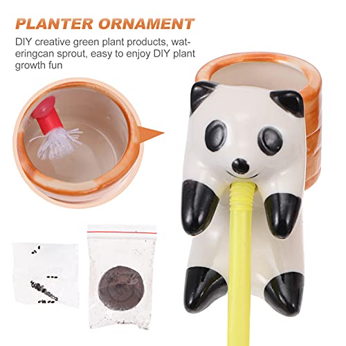 BESTOYARD 2Pcs Potted Decoration Ceramic Planter Animal Plant Bonsai Decor Bonsai Pot Ceramic Flower Animal Succulent Planter Cartoon Bonsai Decorative Planter Soil Student Mini Basin Panda