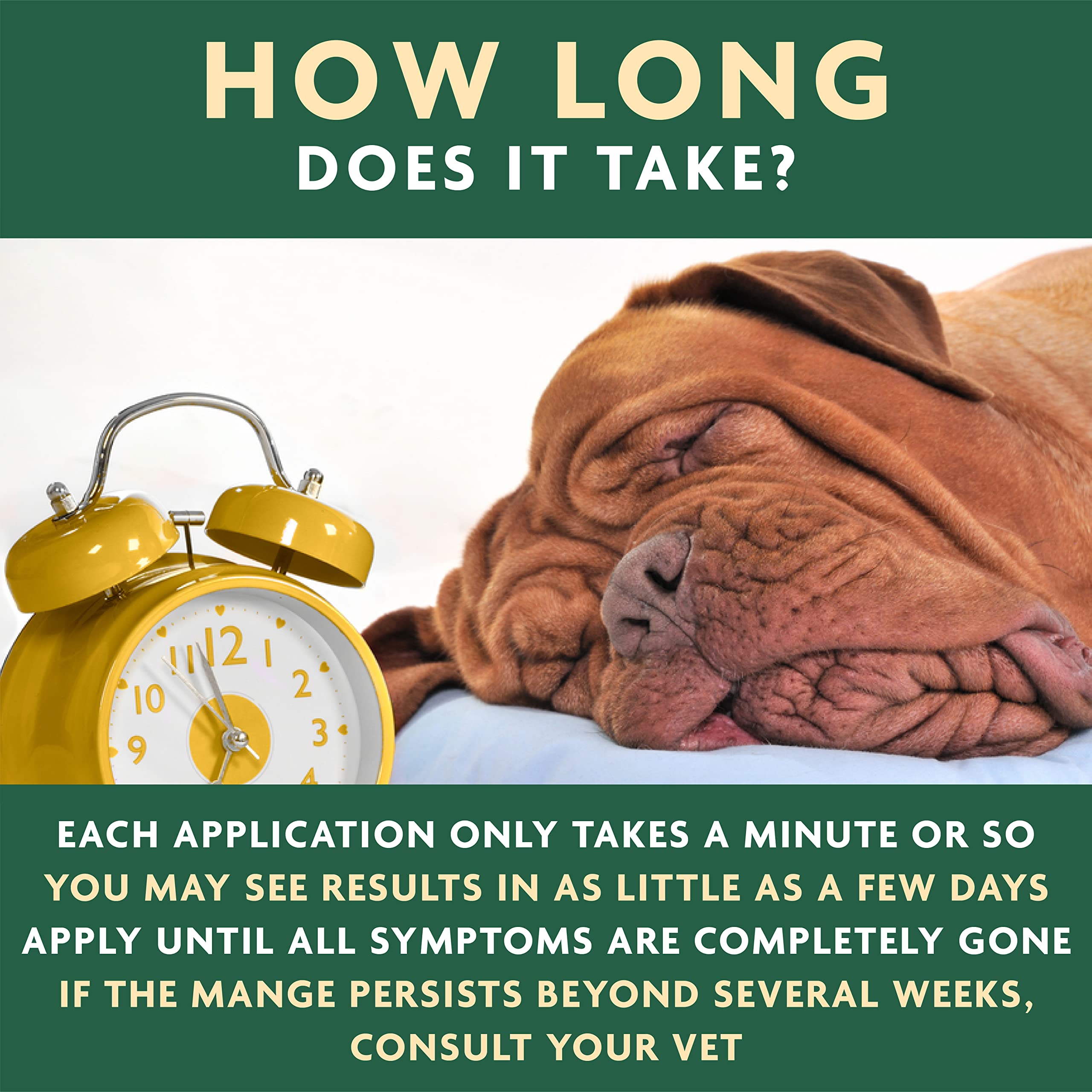 EcoMange Mange Relief for Dogs & Cats β 8 Oz. Cat & Dog Itch Relief, Sarcoptic & Demodectic Mite Spray β Herbal Extract & Essential Oil Itch Relief for Dogs β Natural Cat & Dog Sprays by Vet Organics