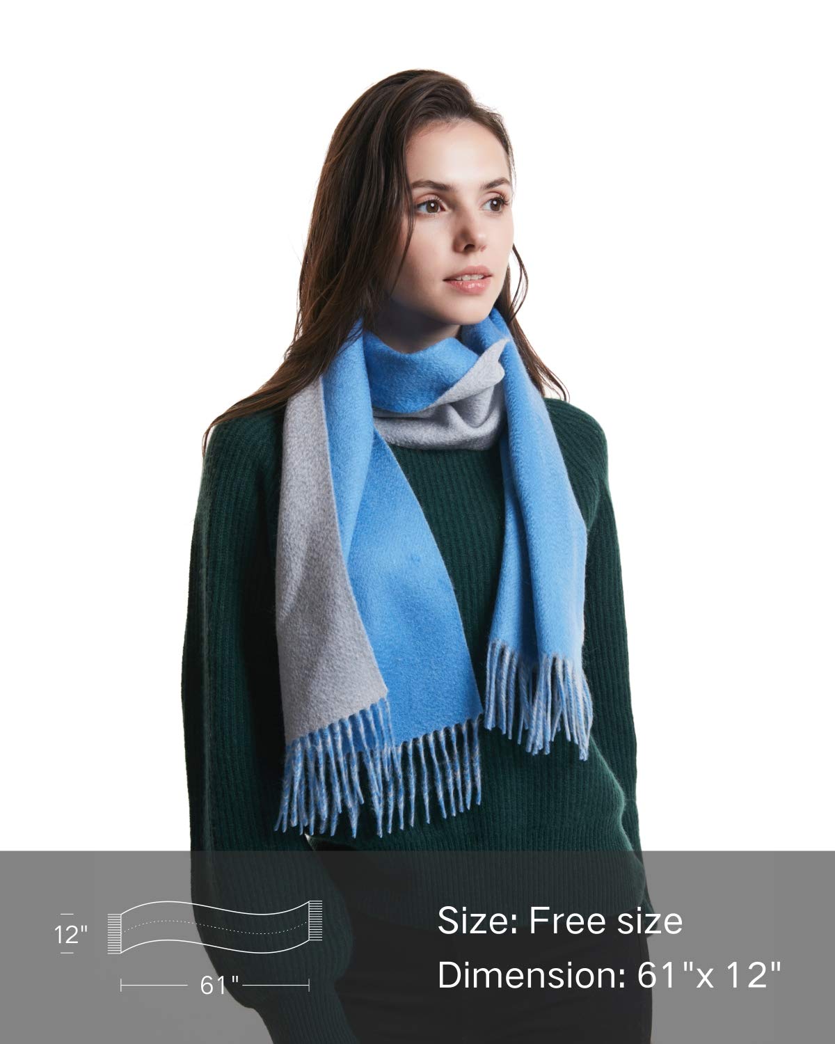 EURKEA 100% Cashmere 2024 Winter Scarf for Women, Fringed Edges, Warm & Soft, Lightweight, Gift Ready, Solid/Plaid/Two-Tone, Black and Burgundy, Free Size