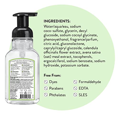 J.R. Watkins Foaming Hand Soap Pump with Dispenser, Moisturizing All Natural Hand Soap Foam, Alcohol-Free, Cruelty-Free, USA Made, Use as Kitchen or Bathroom Soap, Aloe & Green Tea, 9 fl oz, 6 Pack