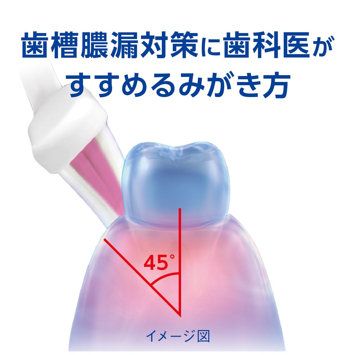 Japan Health and Personal Care - Dent Health Toothbrush Softer one *AF27*