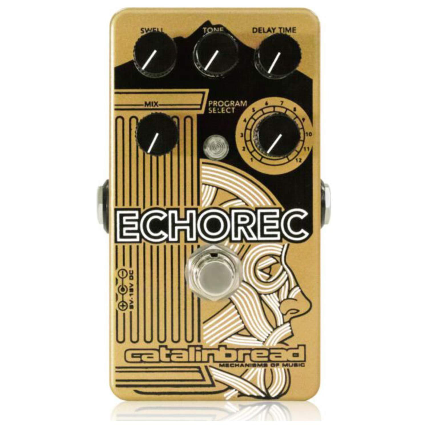Catalinbread ECHOREC MULTI-TAP ECHO Pedal w/ 3 Free Cables