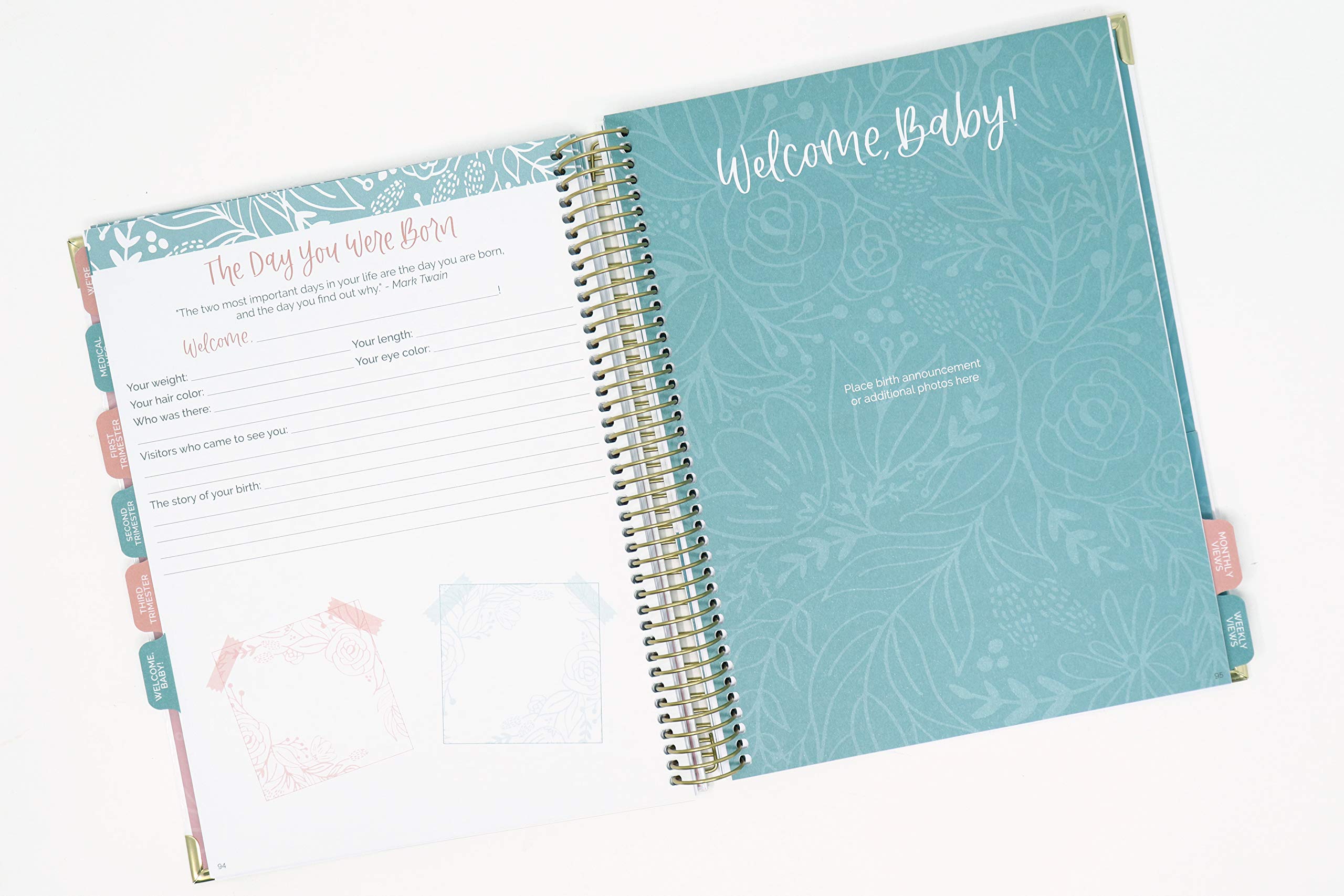 bloom daily planners New Pregnancy and Baby's First Year Calendar Planner & Keepsake Journal with Stickers - Hardcover Scrapbook Memory Book Organizer - Undated - 8β x 10" - Green & Pink