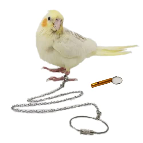 Bird Foot Chain Flying Stainless Steel Training Rope Outdoor Parrot Ankle Foot Ring Accessories Bird Harness Leash Prevent Escaping (Model6)