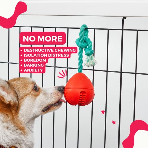 FOSSA Interactive Dog Toys, Crate Training Aids for Puppies, Puzzle Treat Dispenser with Rope