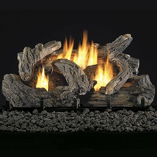 ProCom PCNSDS24RT Dual Fuel Ventless Fireplace Logs Set with Remote Control, Use with Natural Gas or Liquid Propane, 32000 BTU, Heats up to 1100 Sq. Ft, Realistic Painted, 24 Inches