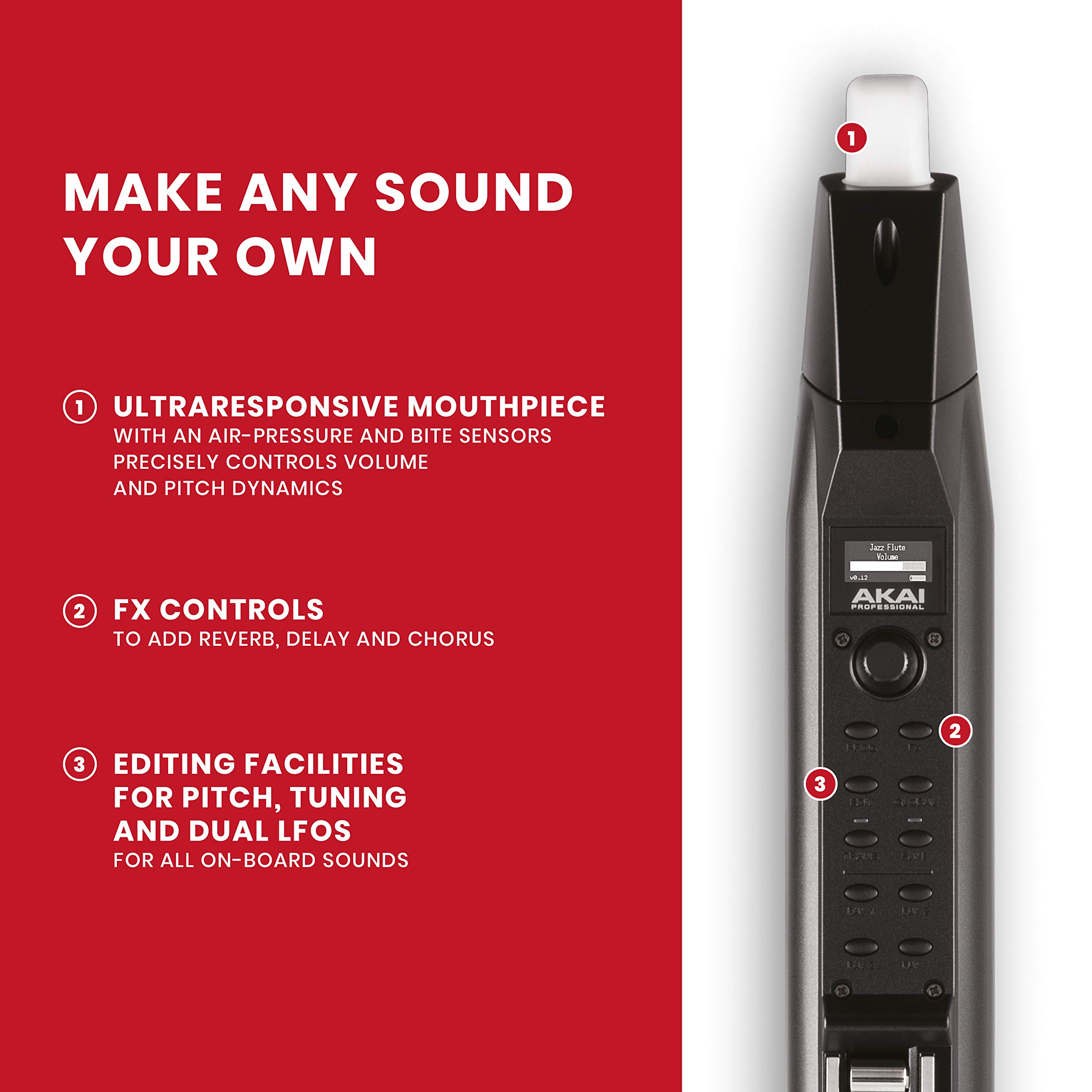 AKAI Professional EWI Solo - Electronic Wind Instrument With Built-in Speaker, Rechargeable Battery, 200 Sounds and USB MIDI Connectivity,Black