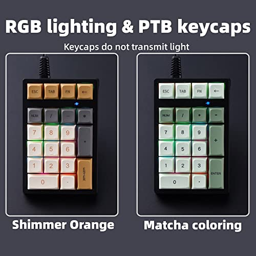 BRIMFORD Number Pad, Mechanical Numeric Keypad, RGB Digital Mechanical Keyboard 21 Keys with USB for Laptop, Notebook, Surface, Tabulation/Accounting Keypad (Shimmer Orange(PBT Keycaps))