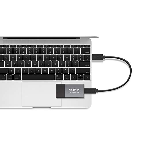 KingDian 120gb 240gb 500gb External SSD USB 3.0 Portable Solid State Drive (500GB)
