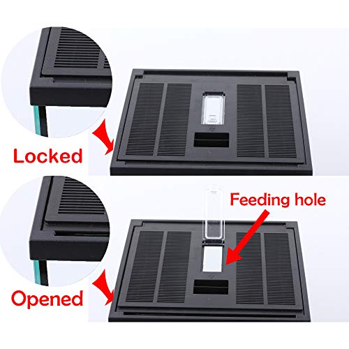 crapelles Pac Frogs Glass Terrarium Feeding kit Tank, Waterproof,for Small Amphibians, Insect, Horned Frogs. Waterweed / Prairie Style Habitat,with Green Artificial Turf Pad, (excluding Animals)