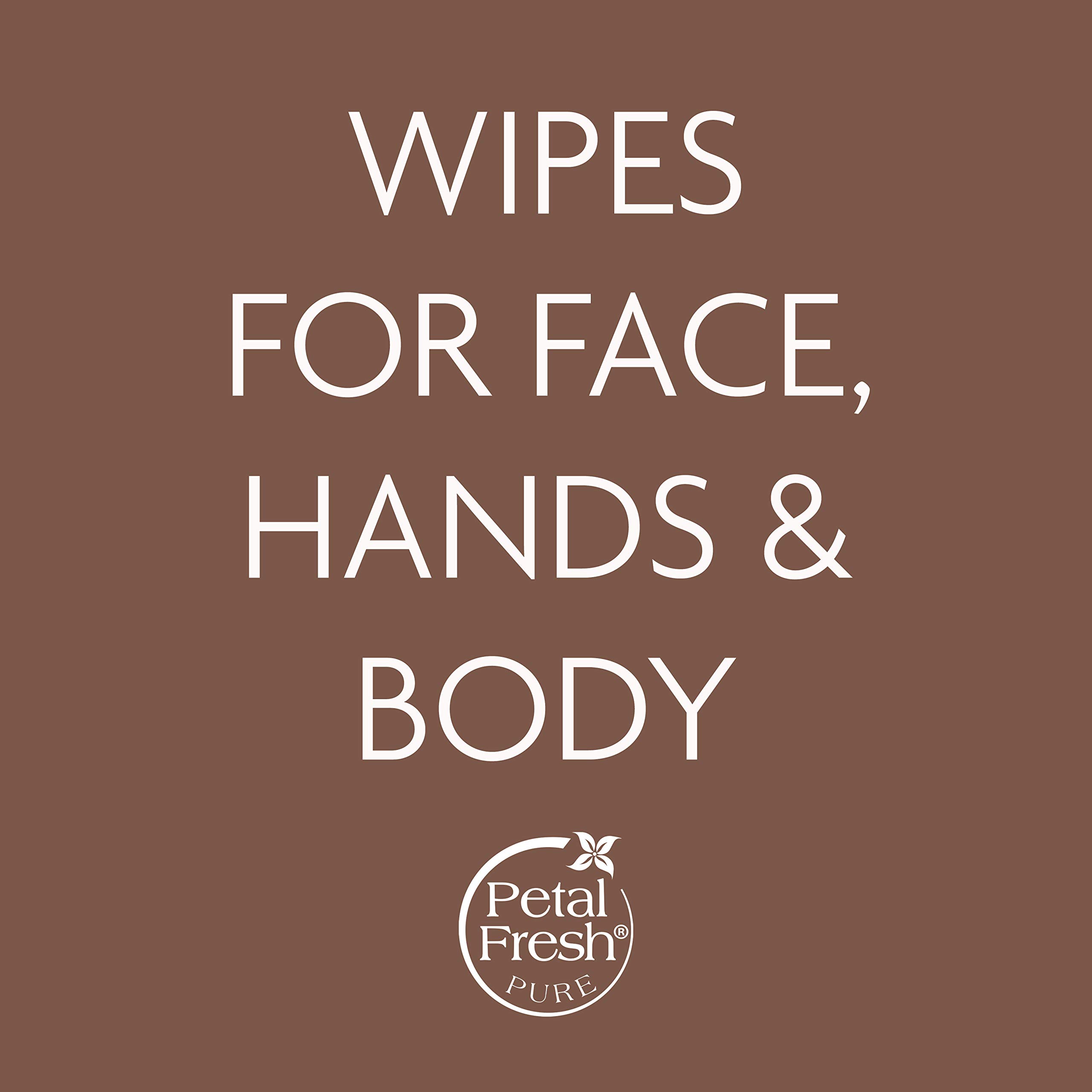 Petal Fresh Ultra- Moisturizing Coconut Makeup Removing, Cleansing Towelettes, Gentle Face Wipes, Daily Cleansing, Vegan and Cruelty Free, 60 count