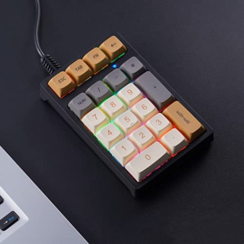 BRIMFORD Number Pad, Mechanical Numeric Keypad, RGB Digital Mechanical Keyboard 21 Keys with USB for Laptop, Notebook, Surface, Tabulation/Accounting Keypad (Shimmer Orange(PBT Keycaps))