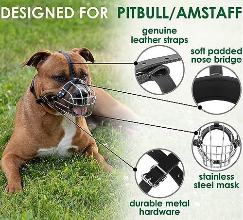 BRONZEDOG Pitbull Dog Muzzle Metal Mask Amstaff Wire Basket Pit Bull Adjustable Leather Straps for Large Dogs (Steel)