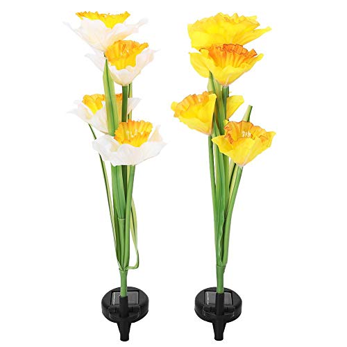 Alinory Lights, Outdoor Solar Powered LED 4 Daffodil Yellow Flowers Lights Lamp for Garden Patio Backyard Decoration Home