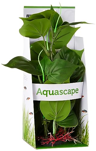 Fluval Anubias Plant for Aquarium, 12-Inch