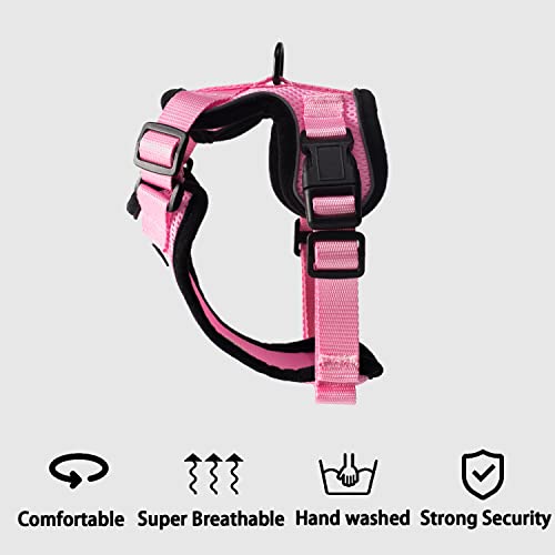 FIIL Cat Harness and Leash for Walking, Escape Proof Soft Adjustable Vest Harnesses for Cats, Adjustable Dog Harness - Reflective and Soft(Pink). (XS, Pink)