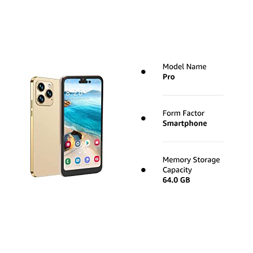 Dilwe 6.1'' Pro Unlocked Cellphone, 4GB 64GB Dual SIM Card 4G Network Mobile Phone, Face ID Unlocked Smartphone for Android 11 4000mah Battery(6.1'' Black)
