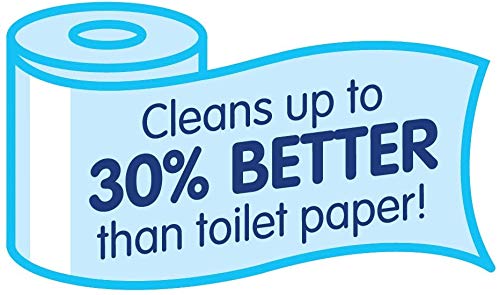 Kandoo Flushable Wipes for Baby and Kids, Unscented for Sensitive Skin, Hypoallergenic Potty Training Wet Cleansing Cloths, 50 Count, 10 Pack + Tub