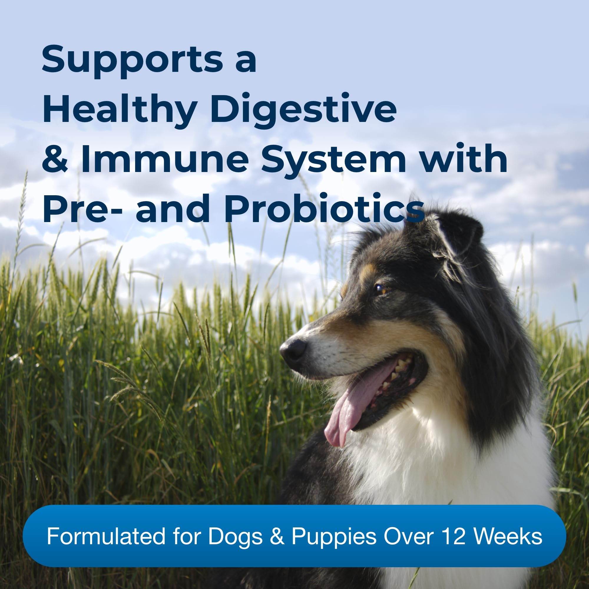 Pet-Ag Nutri-Mixer Digestive - 12 oz - Milk-Based Food Topper for Dogs & Puppies 12 Weeks and Older - Easy to Digest