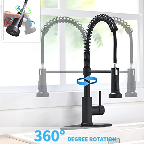 Black Kitchen Faucet Kitchen Sink Faucet with Sprayer - Kitchen Faucet with Pull Down Sprayer