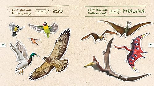 Dino Dana: Dino Field Guide: Pterosaurs and Other Prehistoric Creatures! (Dinosaurs for Kids, Science Book for Kids, Fossils, Prehistoric)
