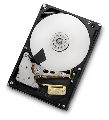 HGST Ultrastar 7K4000 4 TB 3.5" 7200 RPM SATA Internal Enterprise Hard Drive 64 MB Buffer 6.0Gb/s - HUS724040ALA640 / 0F14688 64 MB Cache 3.5-Inch Internal Bare or OEM Drives 0F14688
