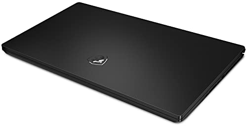 EXCaliberPC 2021 MSI Creator 17 B11UE-471 (i7-11800H, 16GB RAM, 512GB NVMe SSD, RTX 3060 6GB, 17.3" 4K UHD, Windows 10) Content Creation Laptop