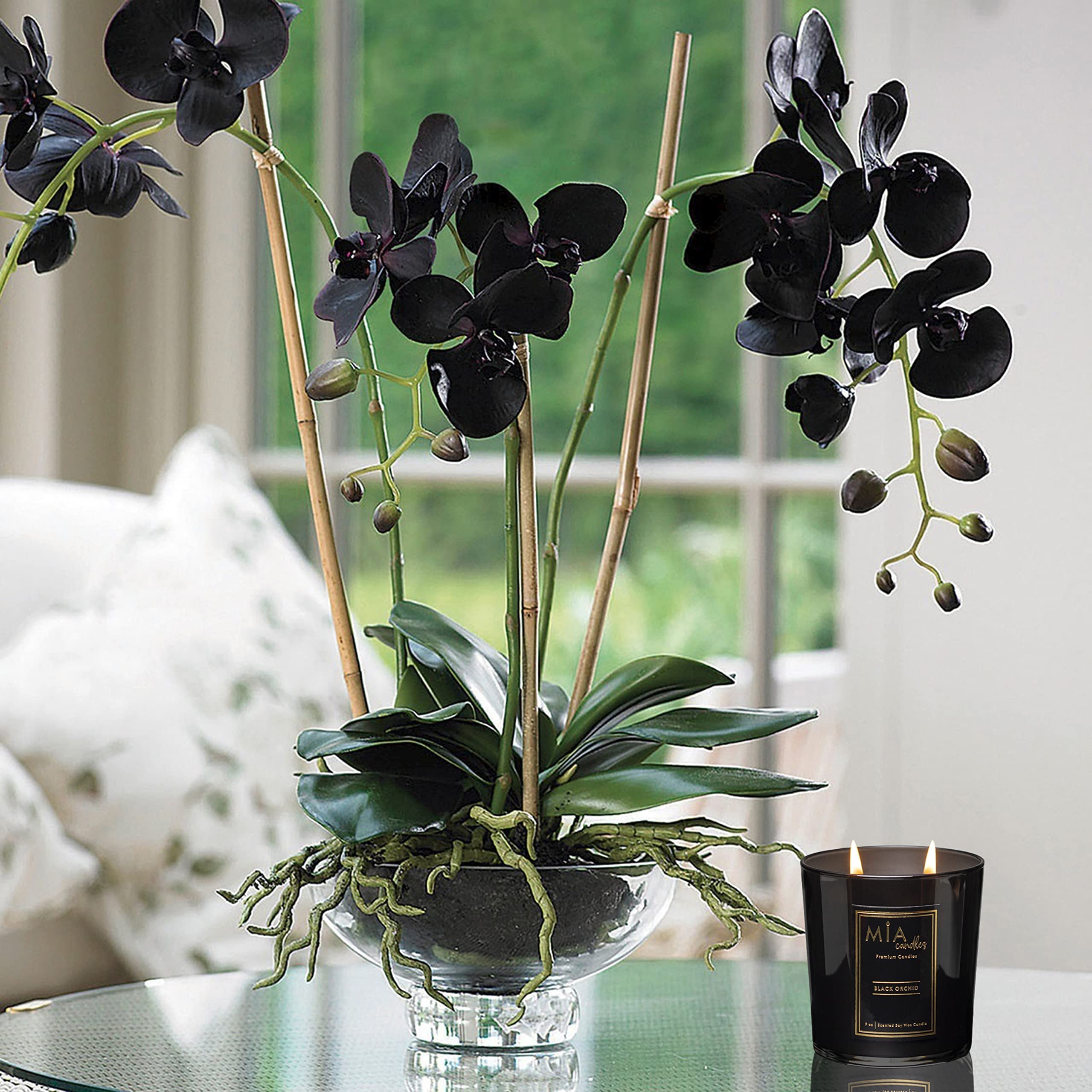 Mia Candles | Black Orchid Highly Scented Candles for Home | 9 oz 45 Hours Burn Time | Non-Toxic Natural Soy Wax Candles | Aromatherapy, Home Decor, Meditation