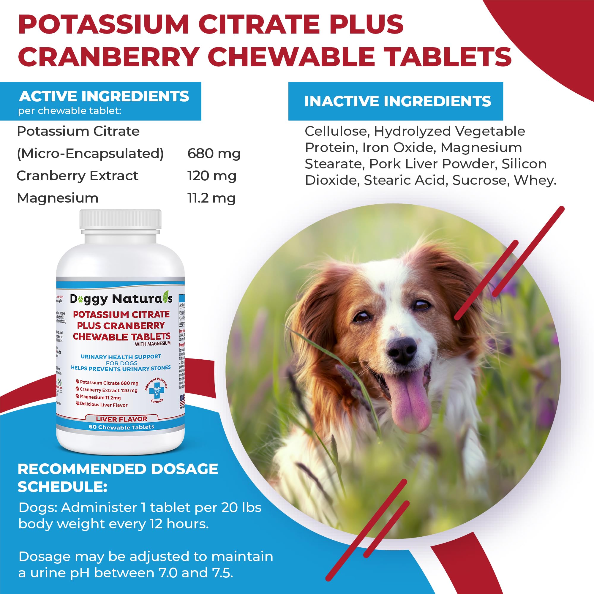 Potassium Citrate Plus Cranberry with Magnesium Supplement for Dogs (60 Tablets) - Urinary Tract Support - Helps Deter Formation of Calcium Oxalate Stones-Deters Bladder & Kidney Stones(Made in U.S.A)