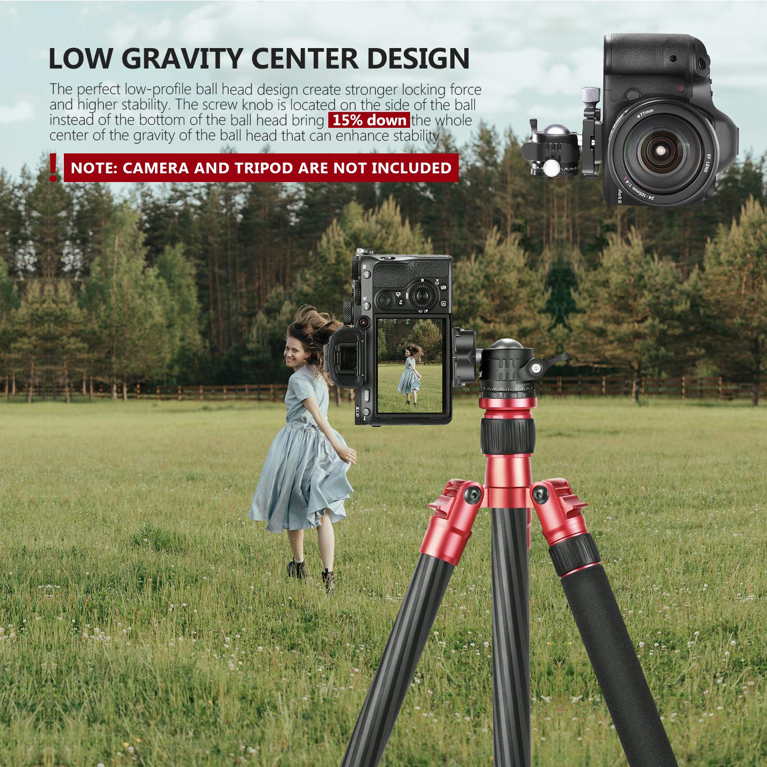 NEEWER Professional 28mm Low Profile Tripod Ball Head with 360° Rotation and 2 Locking Buttons, Arca Type 1/4" QR Plate and Spirit Level for Tripod/Camera, Max Load: 5 kg