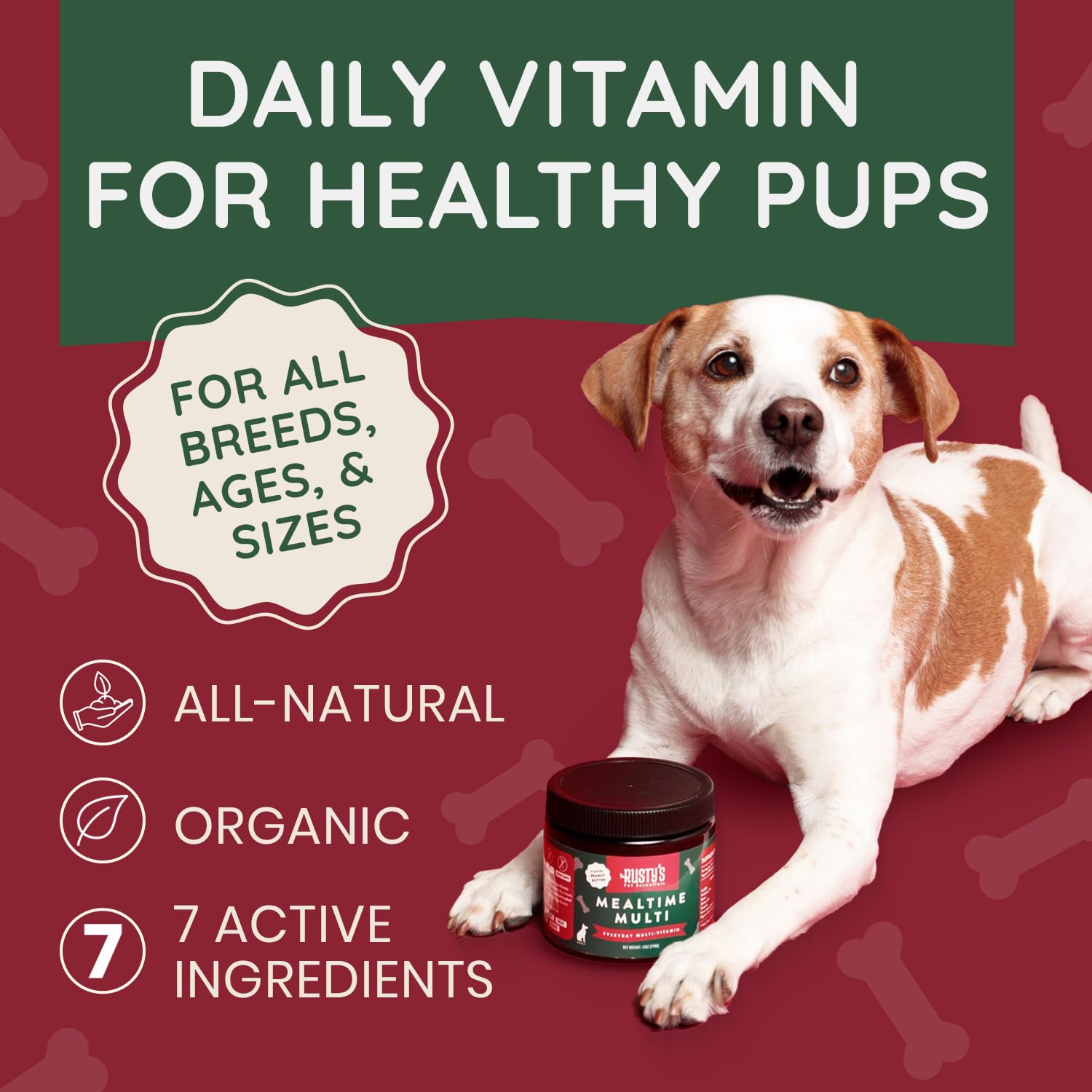 Premium Dog Multivitamin Supplement (170 Chews) - Mealtime Multi - with CoQ10 - Probiotics - Pumpkin - Immune Support - Promotes Better Joint Mobility - Healthy Skin & Coat - Made in The USA