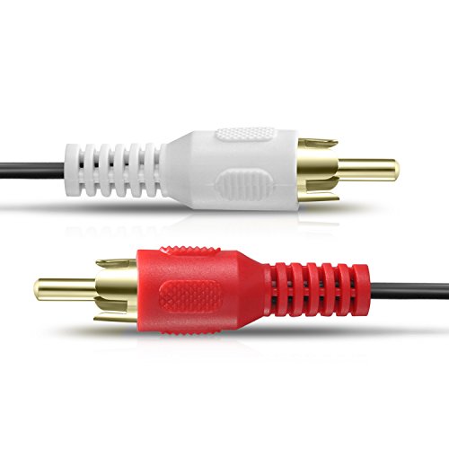Fosmon 2-RCA Male to 2-RCA Male (6 FT), Dual 2 RCA Cable, Stereo Audio 2RCA Cord Male to Male Connector